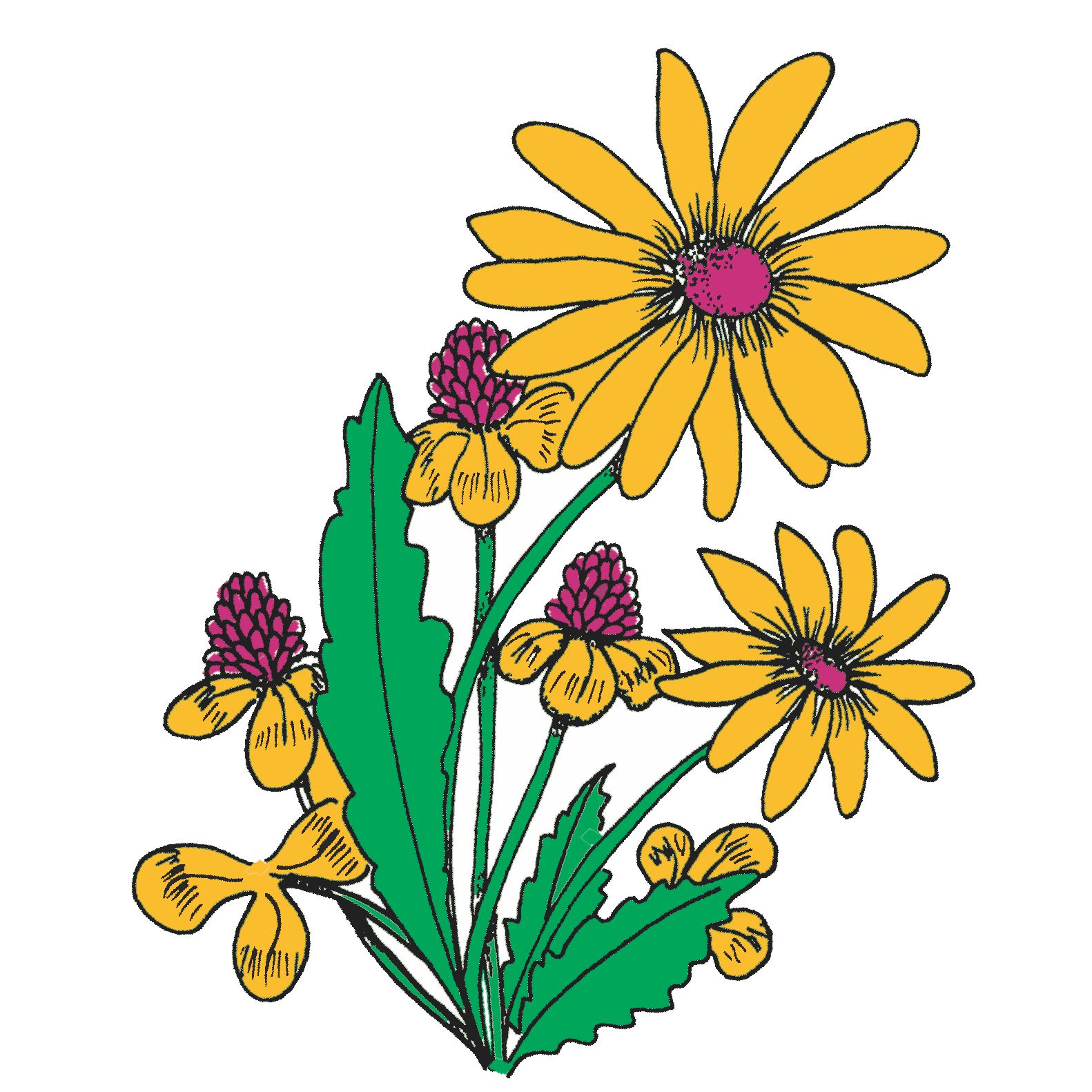 839 Daisy Clover | Purple Daisy Design | Purple Daisy Design