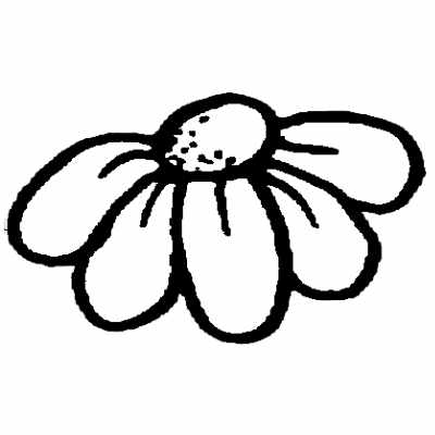 BIT 51 Half Flower | Purple Daisy Design | Purple Daisy Design