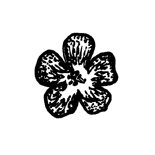 BIT 101 Tiny Flower | Purple Daisy Design | Purple Daisy Design