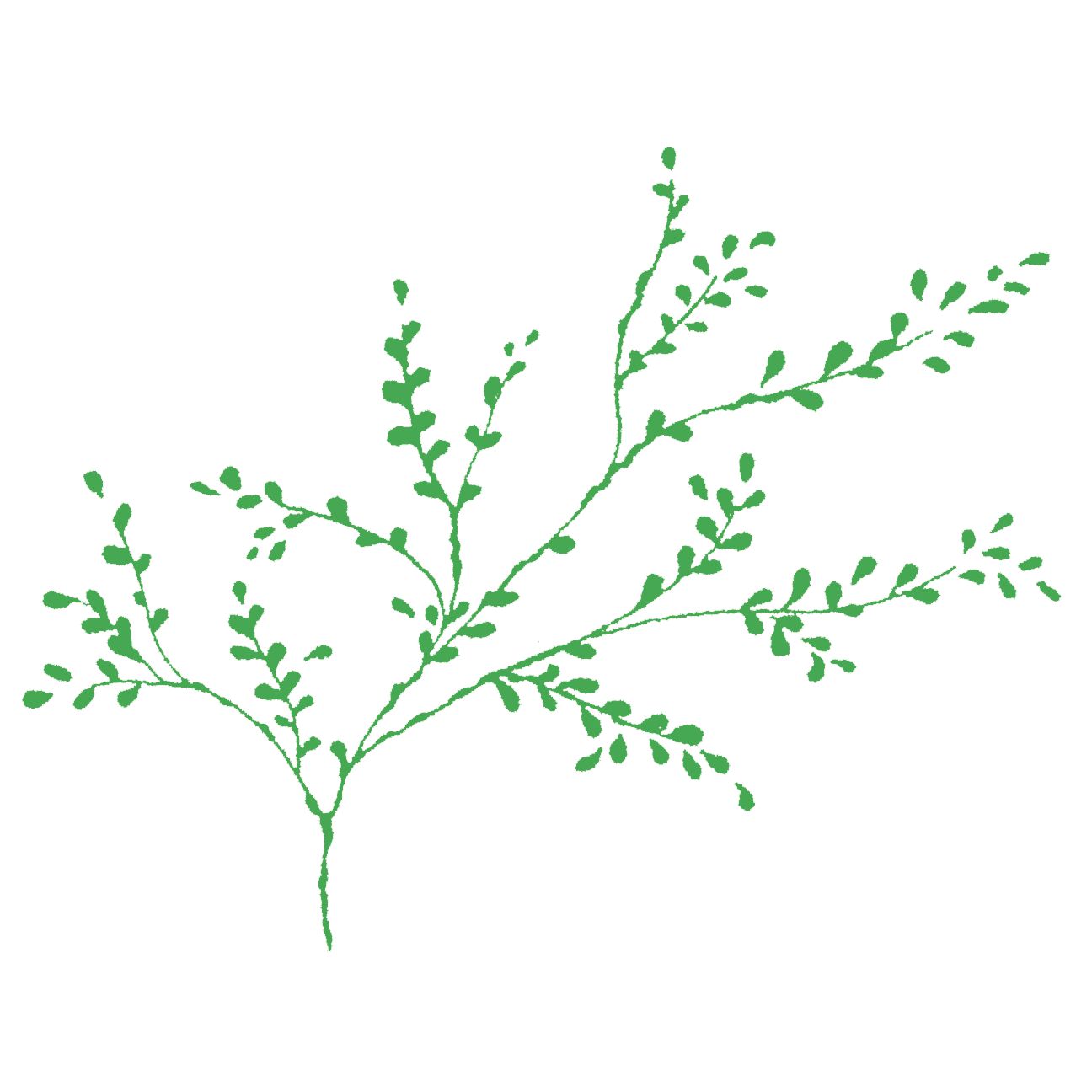 G 701 Med. Twig Filler | Purple Daisy Design | Purple Daisy Design
