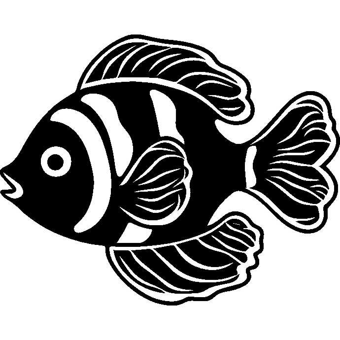 2844 Billy Fish | Purple Daisy Design | Purple Daisy Design