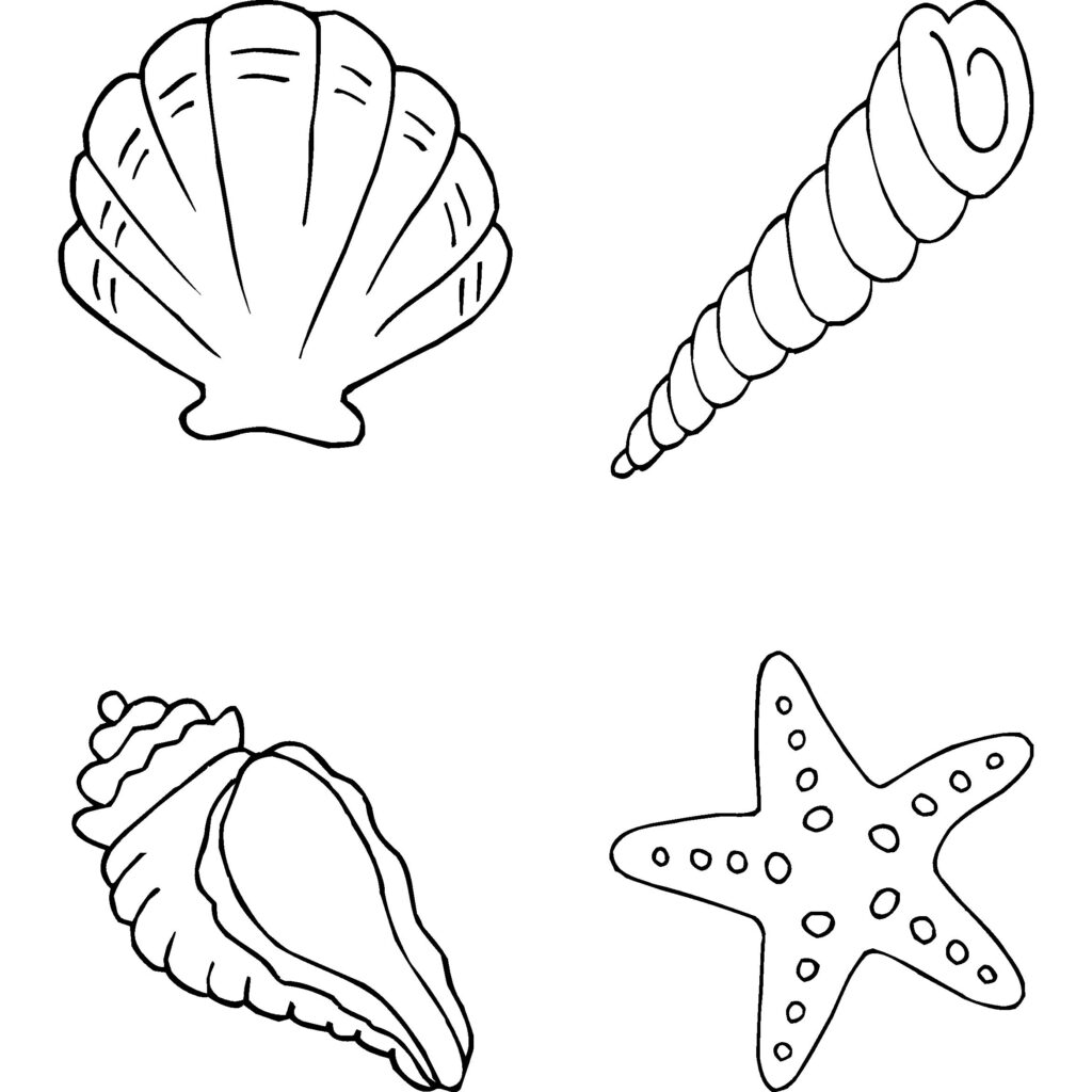 473DRS 4 Seashells | Purple Daisy Design | Purple Daisy Design