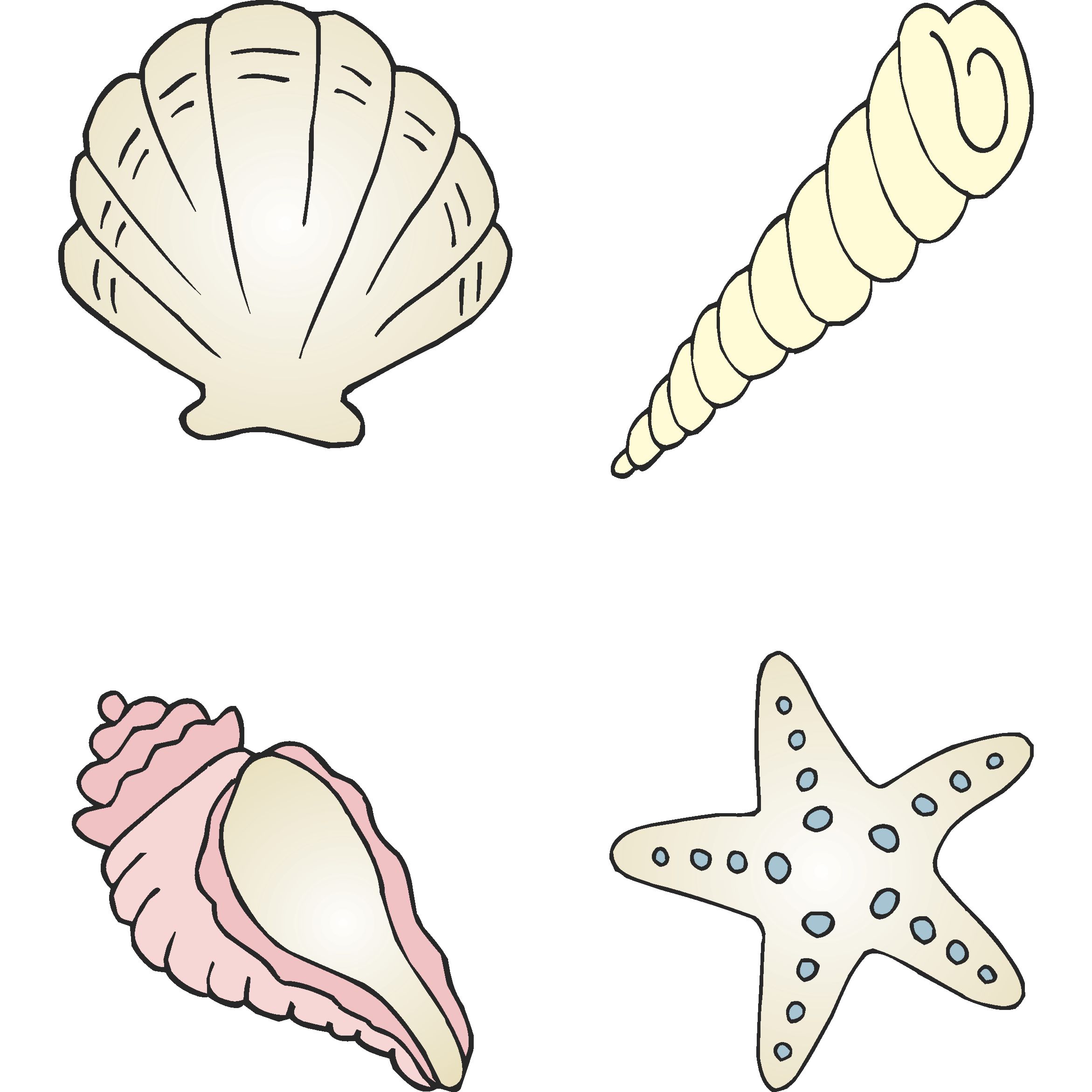 473DRS 4 Seashells | Purple Daisy Design | Purple Daisy Design